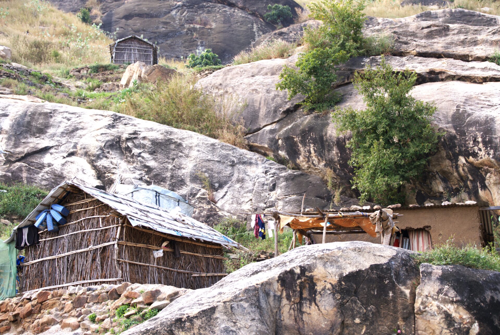 Jebel Kujur faces threat of extinction - King Media South Sudan