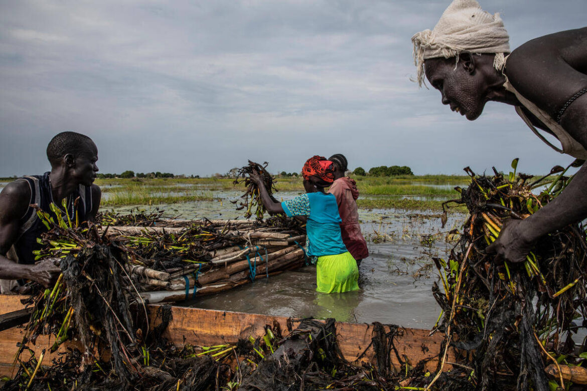 How climate-driven floods mix with oil haunts Unity State residents ...